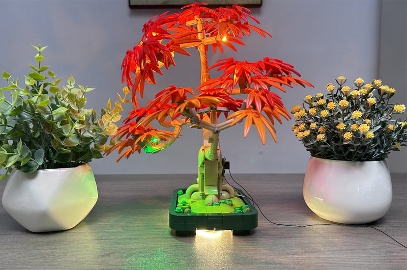 LEGO Japanese Red Maple Bonsai Tree 10348 set review - showing the bea